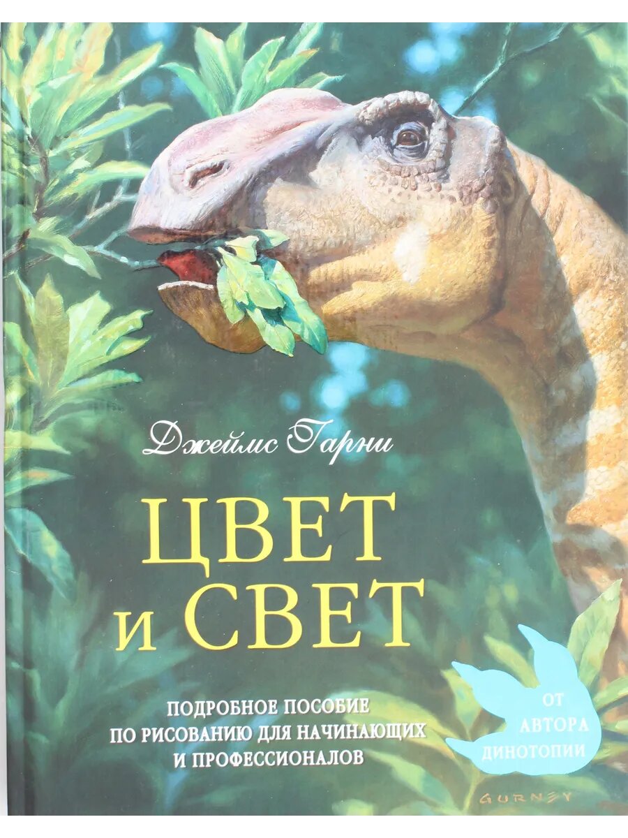 Книга Цвет и свет