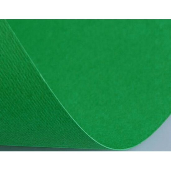 Картон Fabriano для творчества (1 лист) Elle Erre А2+ 500х700 мм, 220 г/м2, зеленый, 42450711