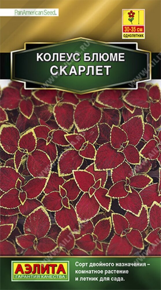 Семена Колеус блюме Скарлет 10шт Одн 30 см (Аэлита)