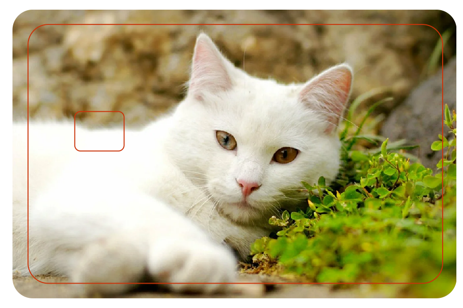 Наклейка на банковскую карту, стикер на карту, кошки