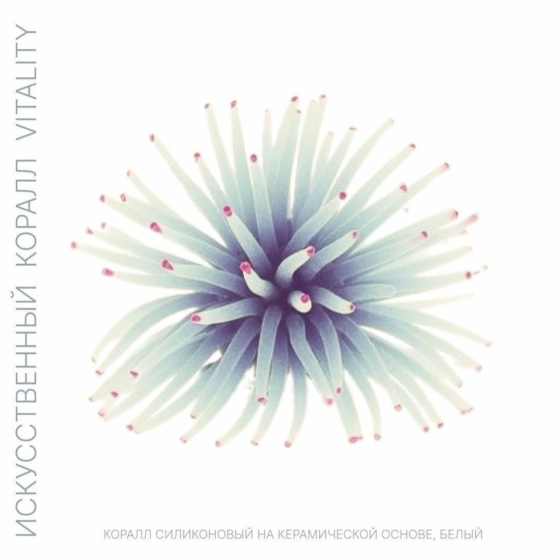 Коралл силиконовый Vitality на керамической основе, белый, 4.5х4.5х4см (RT172SW)
