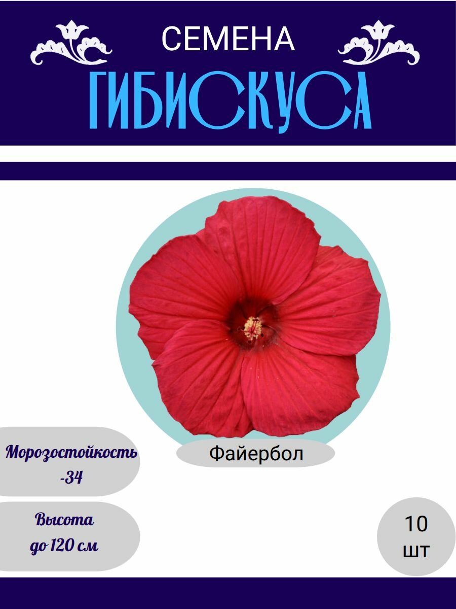 Гибискус Файербол(Семена)10шт.