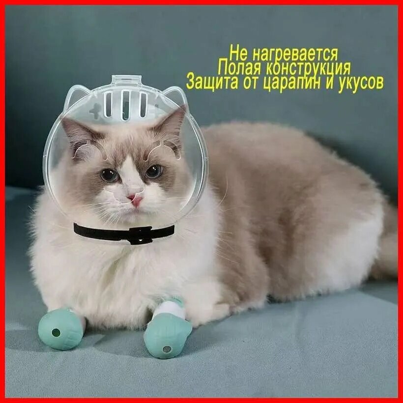 Намордник дышащий для кошек / Шaр плacтиковый пpoзрачный крyглой формы на голову Шлeм грyминга, Купoл защитный от укусов