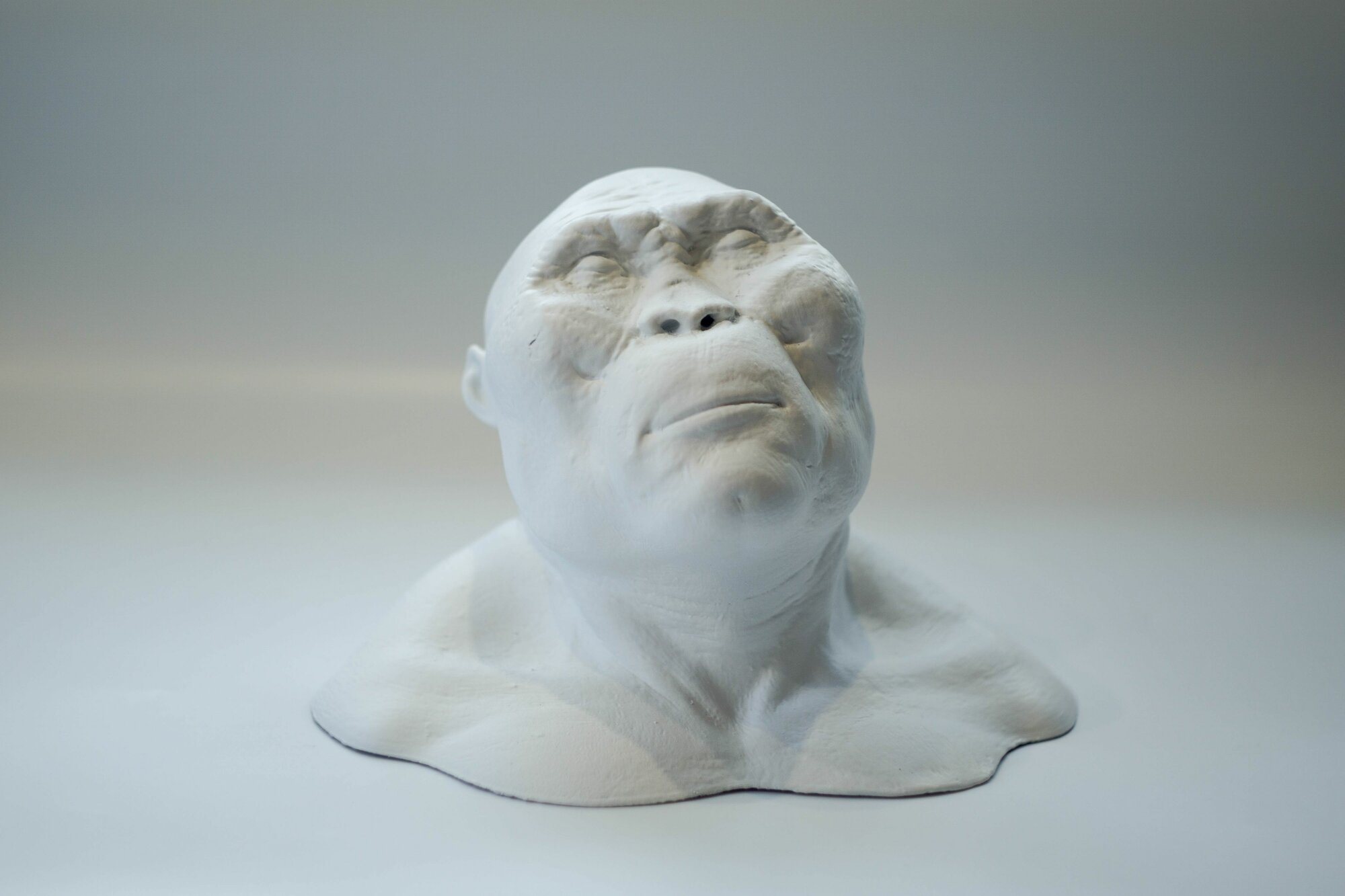 Палеонтологическая модель "Бюст парантропа Бойса" Белый