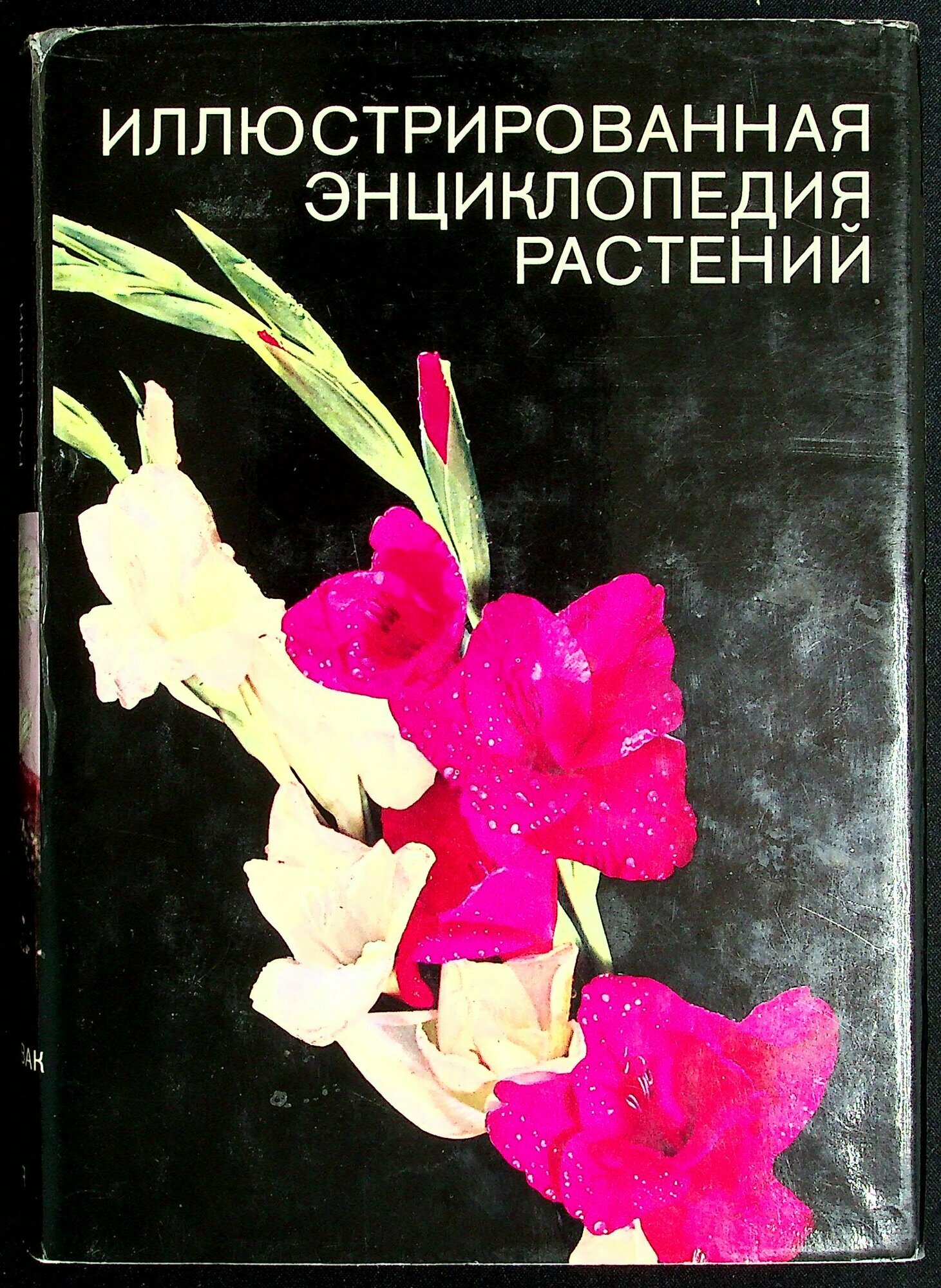 Иллюстрированная энциклопедия растений