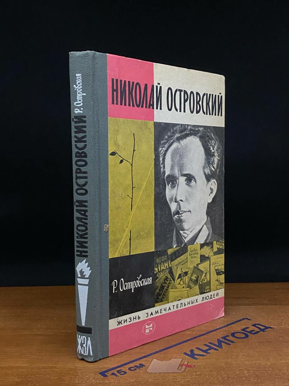 Книга. Николай Островский 1984 (2042506503744)