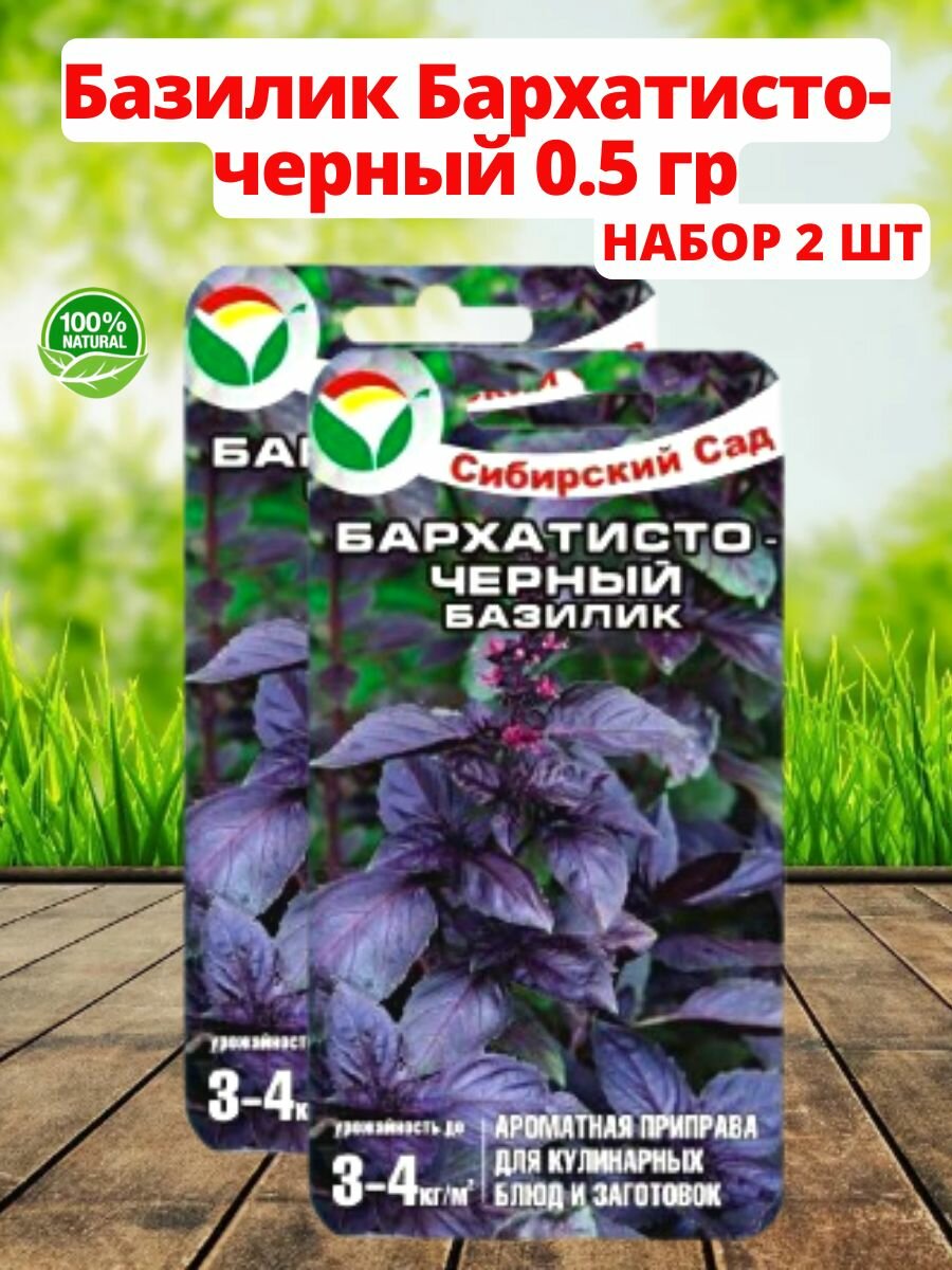 Семена Базилик Бархатисто-черный 0.5 гр Сибирский сад, 2 шт