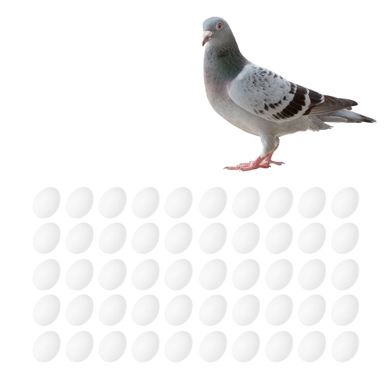 50 шт, пластиковое поддельное голубиное яйцо, твердое поддельное яйцо, имитация инкубационного разведения, принадлежности для птиц