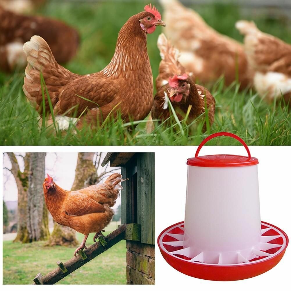 Automatic Pet Feeder — фото 1