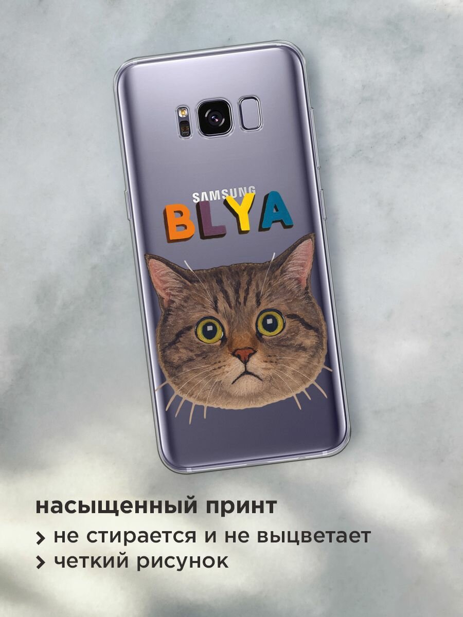 Чехол на Samsung Galaxy S8 + / Самсунг Галакси С8 Плюс с принтом "Серый котик", прозрачный — фото 1