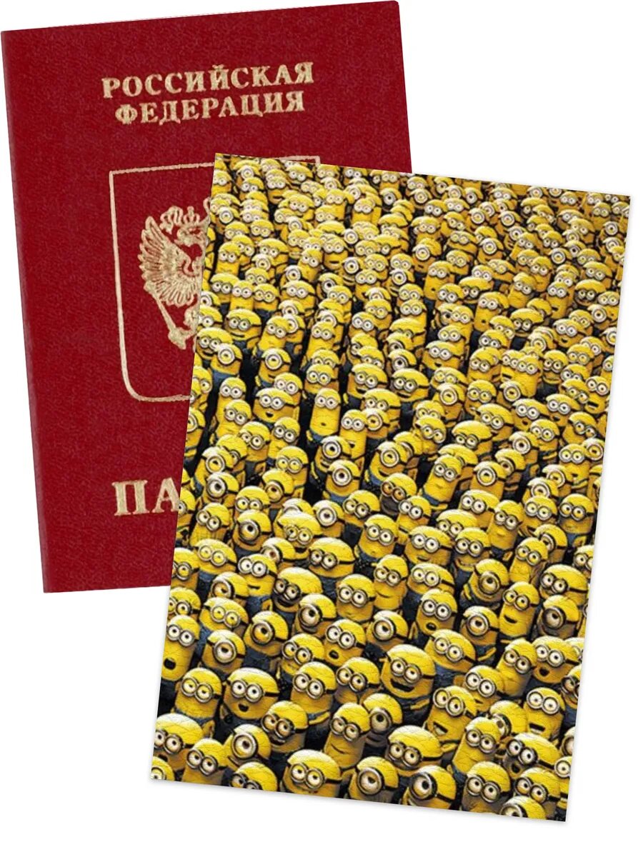Обложка для паспорта