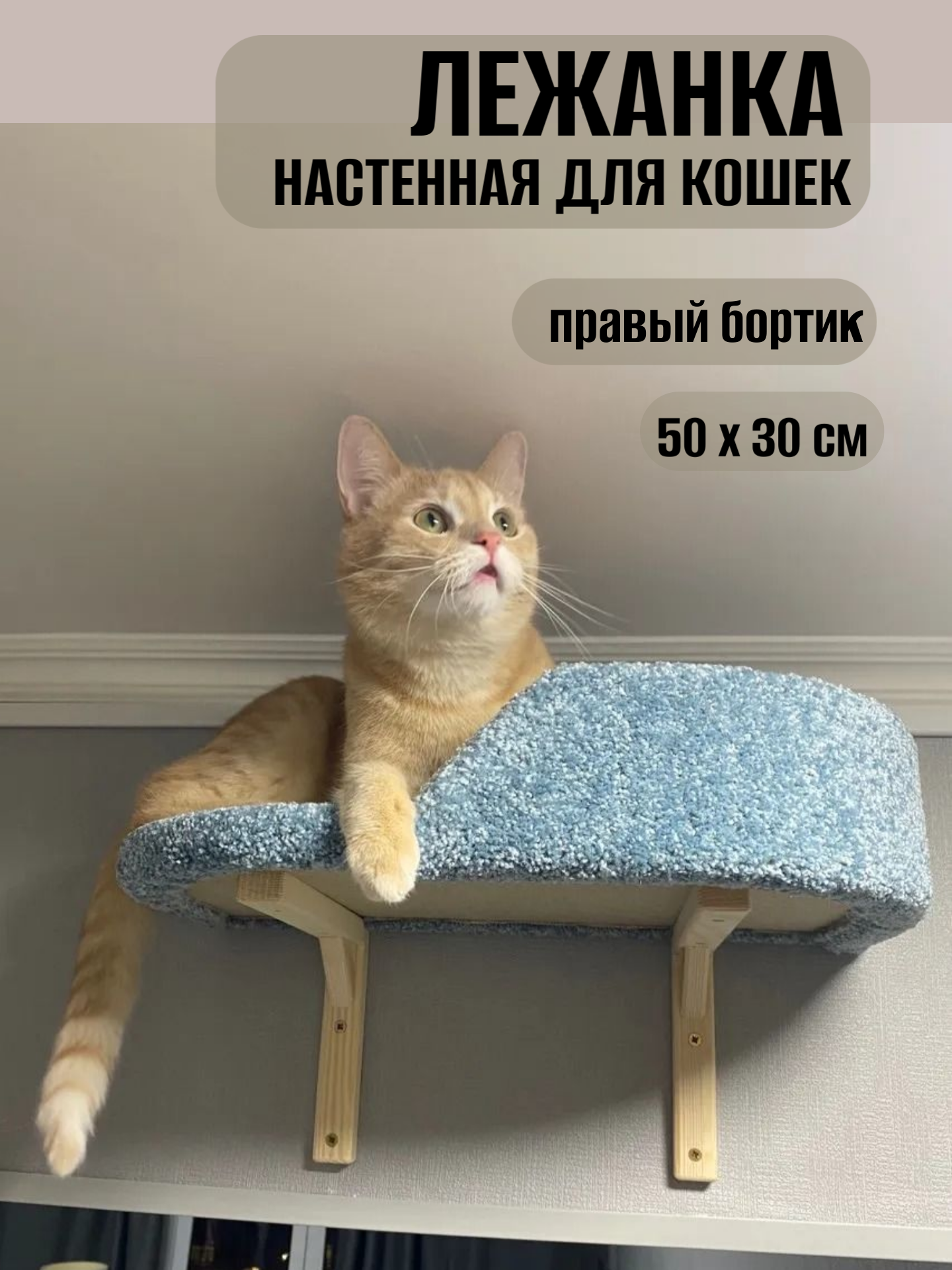 Лежанка для кошек, Моя Котя, настенная, с бортиком правосторонняя, цвет бирюзовый, ковролин