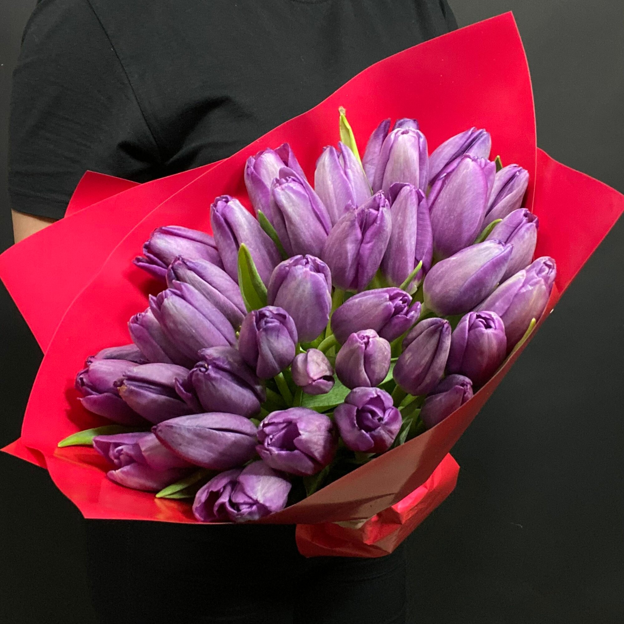 Фиолетовые тюльпаны