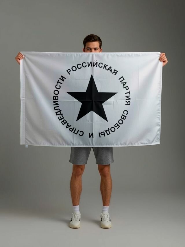 Флаг Российской партии свободы и справедливости, 70х105 см на сетке для флагштока