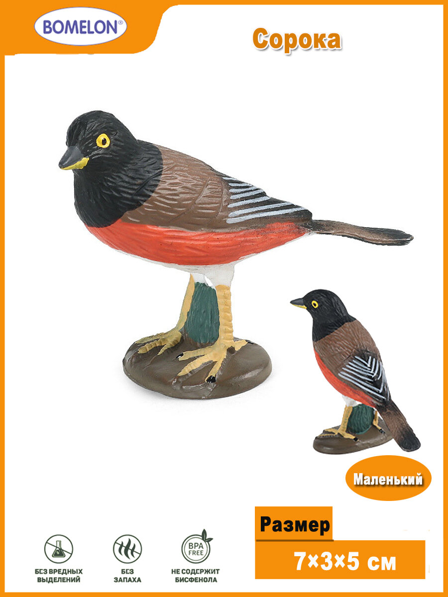 Фигурки птиц Сорока 7 см , Маленький размер, Cockatoo, фигурки животных для детей , Экологичный пластик, развивающие игрушки