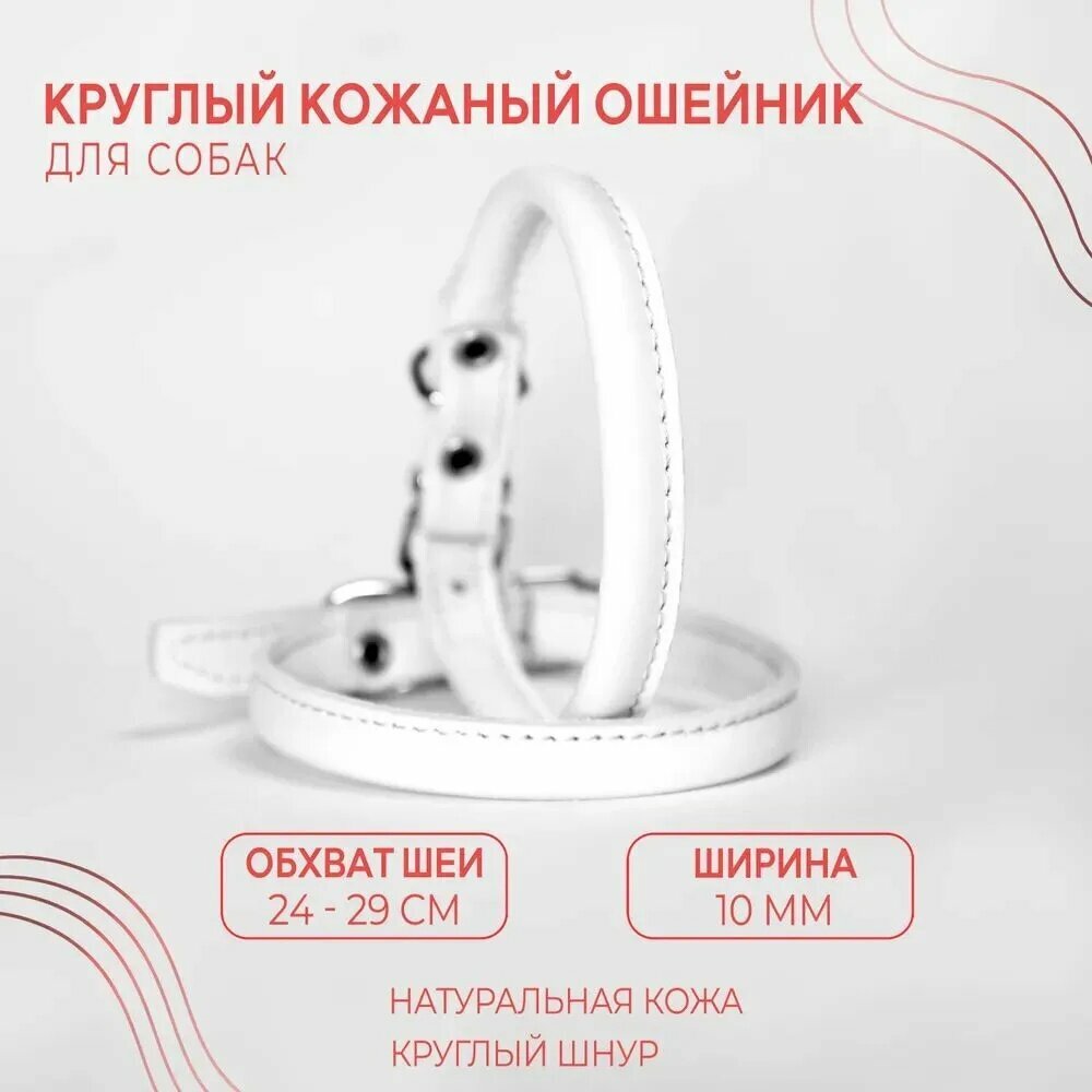 Круглый кожаный ошейник (обхват шеи 24-29 см.) для маленьких пород собак с пушистой шерстью / Белый