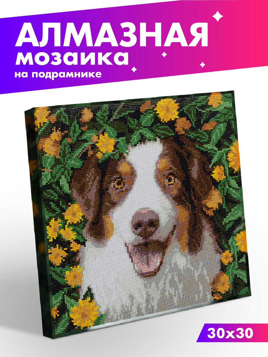 Алмазная (кристальная) мозаика на подрамнике 30х30 см Радостный пес ALPD-222