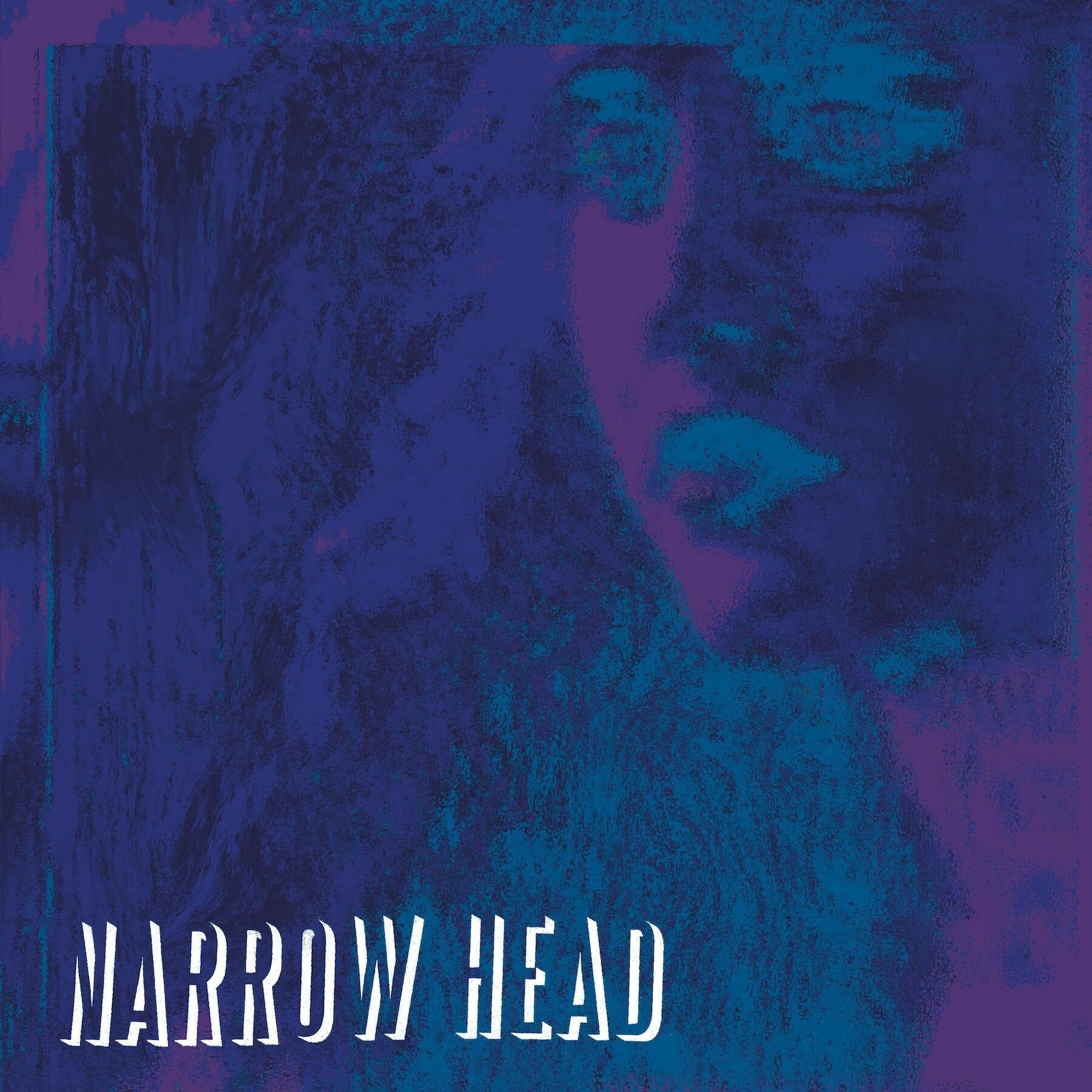 Виниловая пластинка Narrow Head Satisfaction