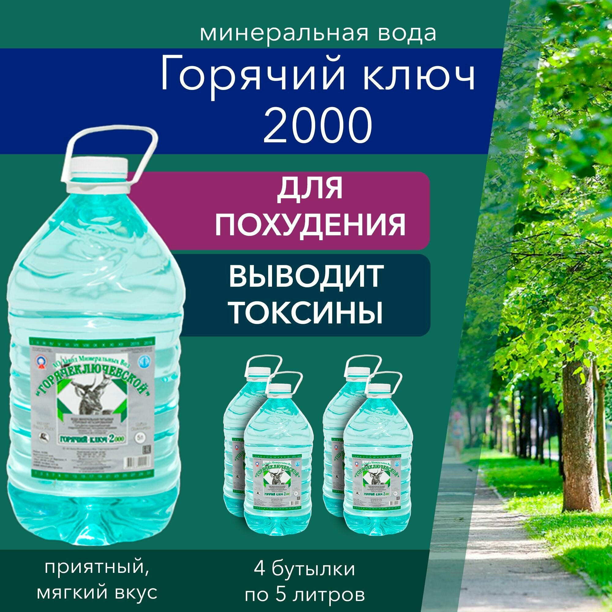 Вода Горячий Ключ 2000. Объем 5л*4. Вода минеральная негазированная природная целебная лечебная, выводит токсины