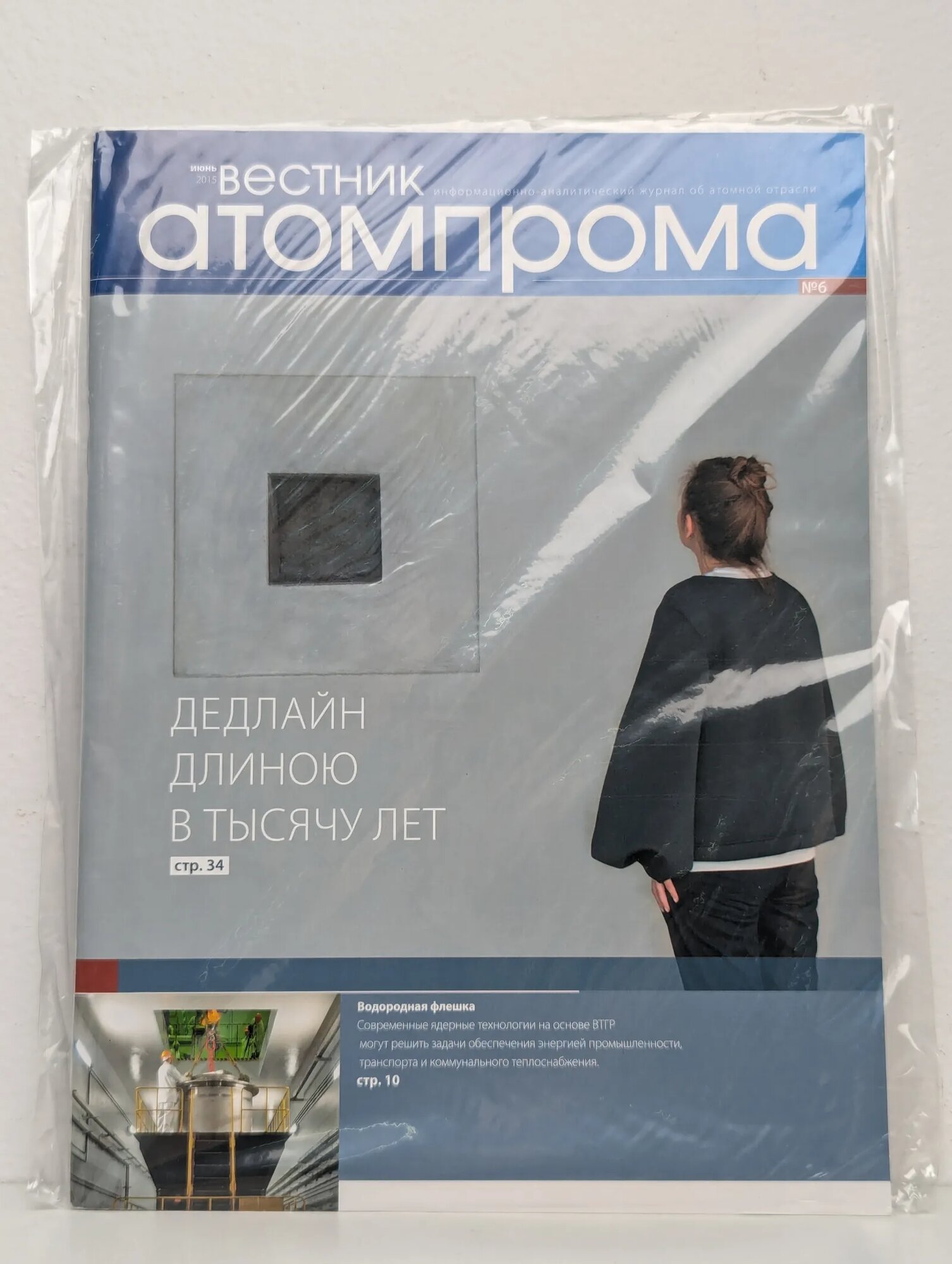 Журнал "Вестник Атомпрома". Выпуск № 6 / 2015 Чернов Дмитрий (ред.) 2015