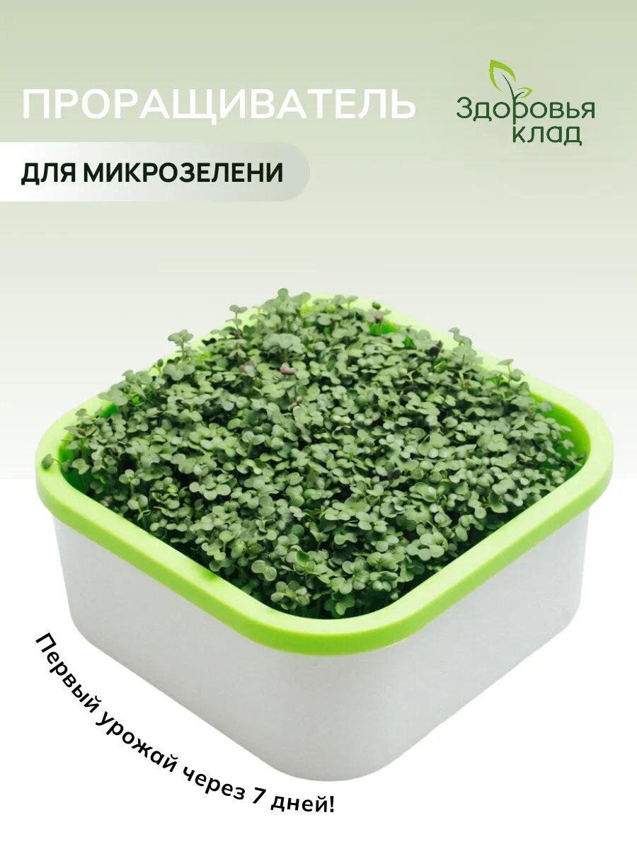 Проращиватель "Здоровья Клад" для микрозелени
