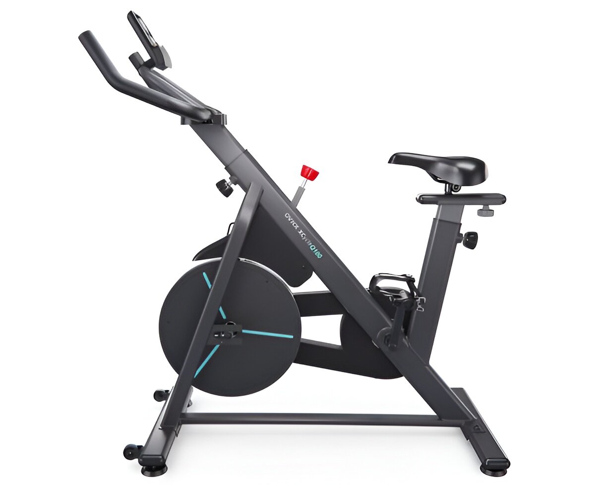 DFC Спин-байк DFC OVICX Q100