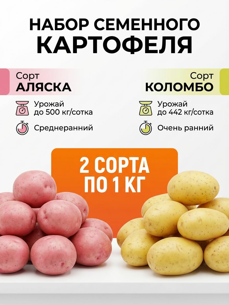 Картофель семенной Аляска + Коломбо, набор по 1 кг. Устойчивы к болезням, вкусные и ровные клубни, отличная лёжкость, отборный посадочный материал. Подходят для варки и жарки, хорошо хранятся.