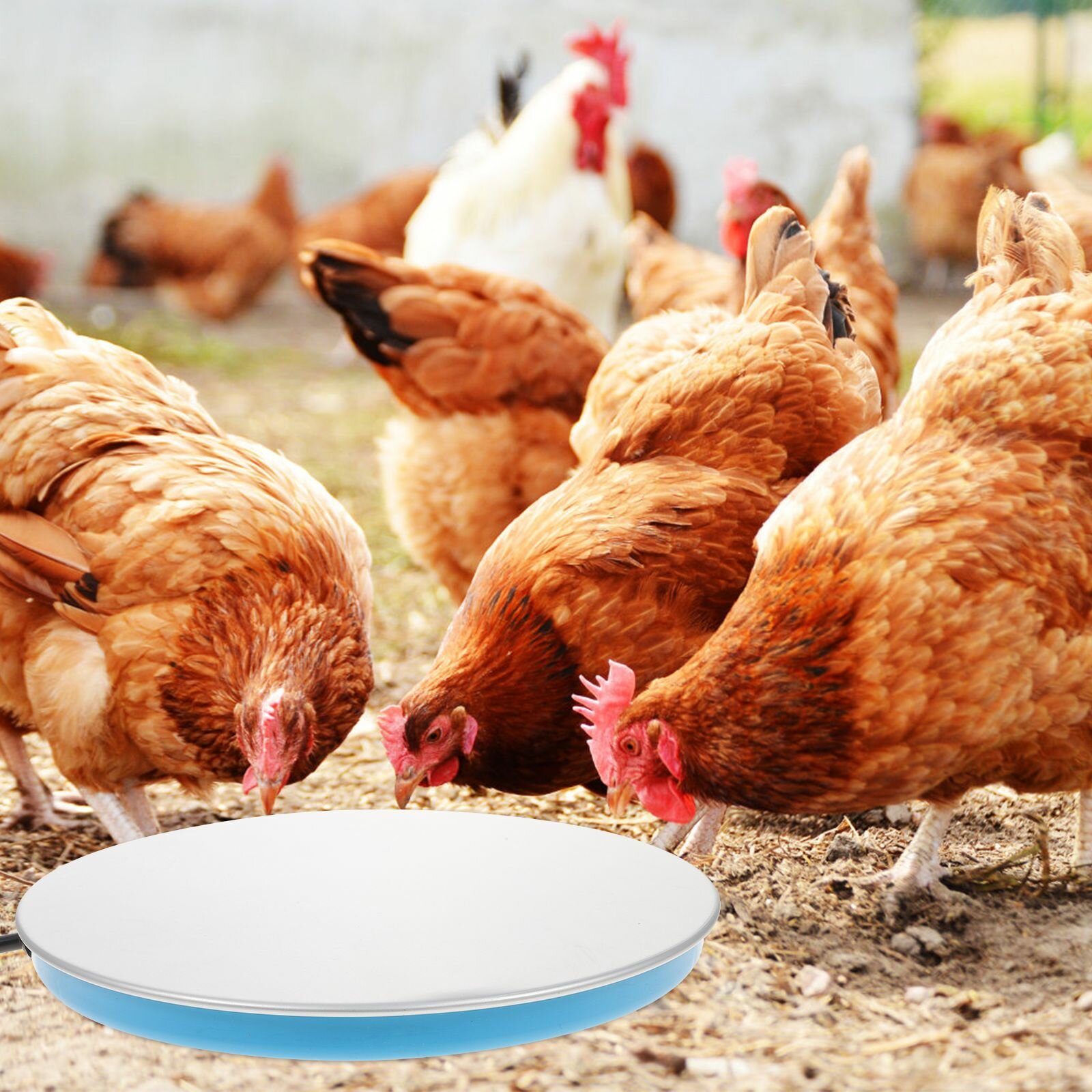 Плитка для подогрева воды для домашней птицы из абс с защитой от замерзания