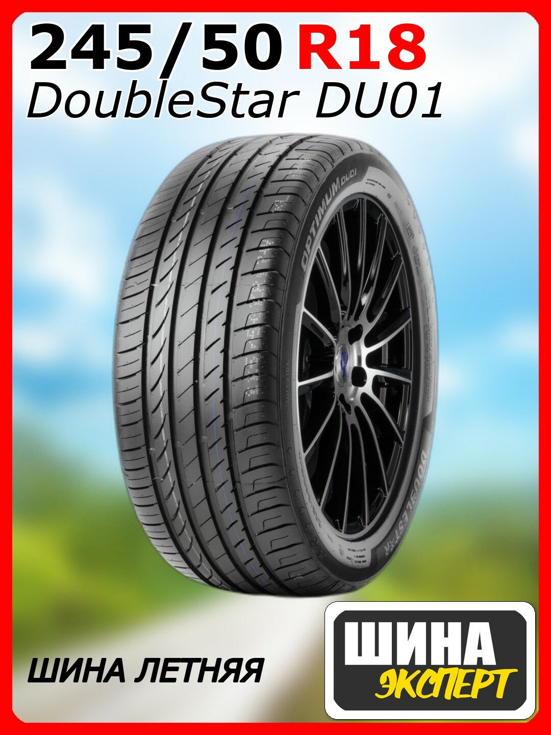 Шина летняя DoubleStar 245/50/18 V 100 DU01 для легковых автомобилей 2PU02455018E000002