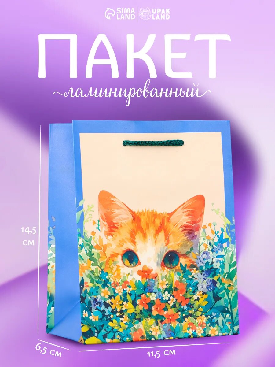 Подарочный пакет АртДизайн «Котик», компактный размер, для небольших подарков