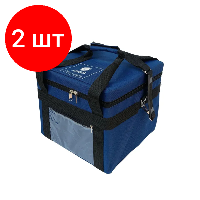 Комплект 2 штук, Термоконтейнер медицинский 9.8л (2.5 л) Т-9-EPS-BК-C с кольцом(сумка чехол)