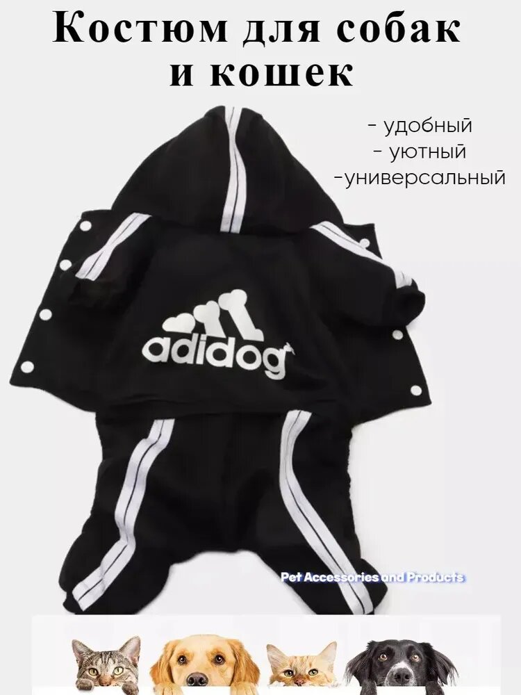 Одежда для животных