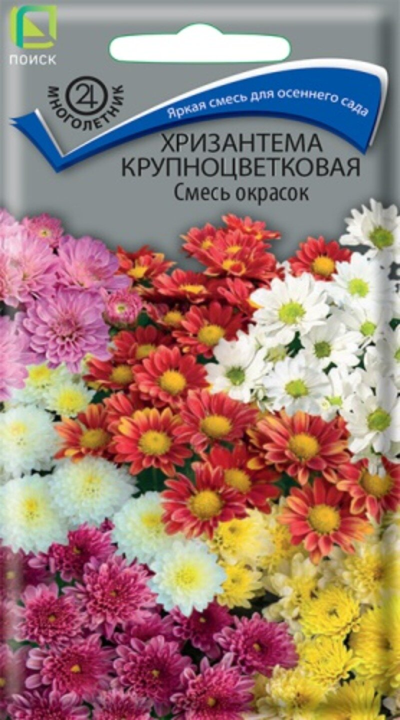Семена Хризантема крупноцветковая многолетняя смесь (0,05 г), Агрофирма Поиск