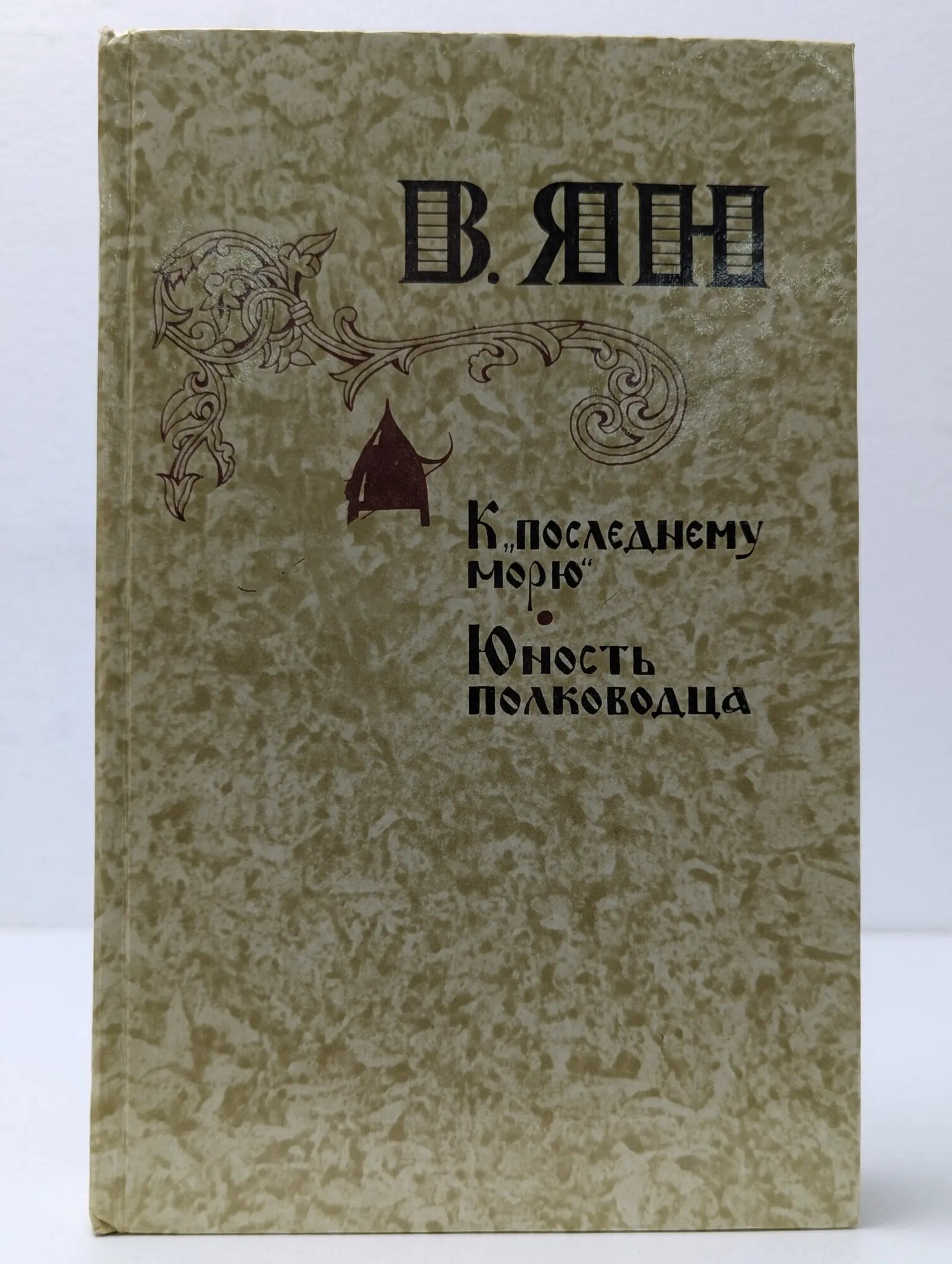 К "последнему морю". Юность полководца. Ян Василий Григорьевич 1981