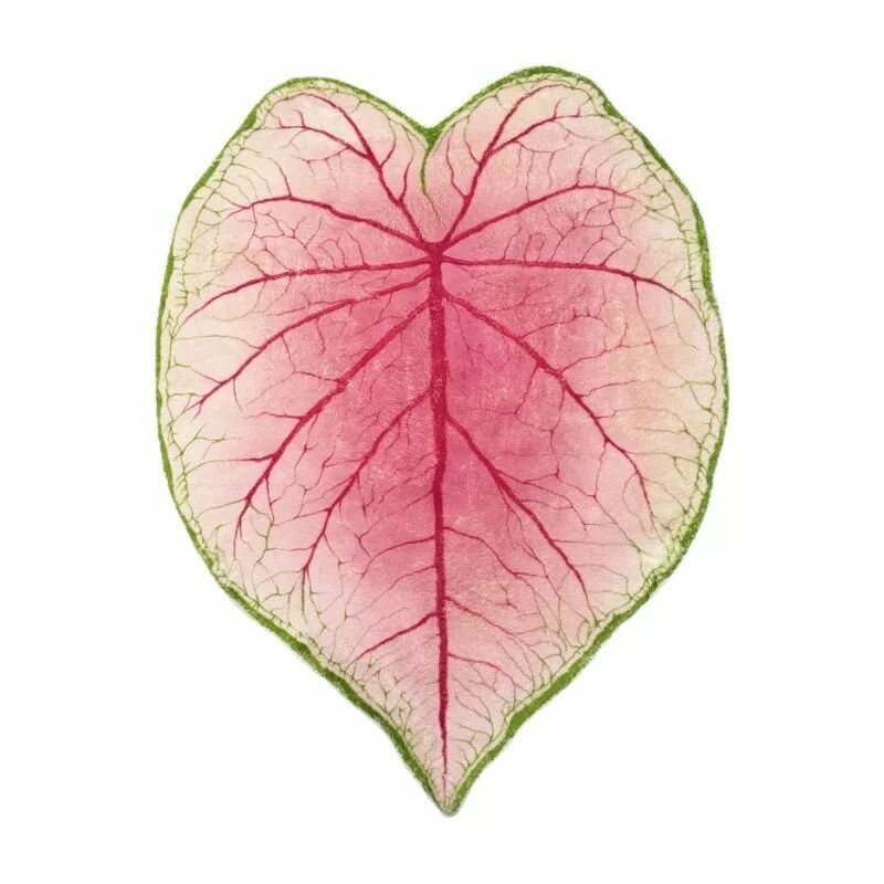 Ковер из искусственного кашемира, неправильной формы, с узором в виде растения монстера, нескользящий коврик для дивана, спальни, гостиной, прикроватный коврик, коврик в виде листа.