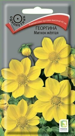 Семена Георгина "Мигнон желтая" низкорослая "Поиск"