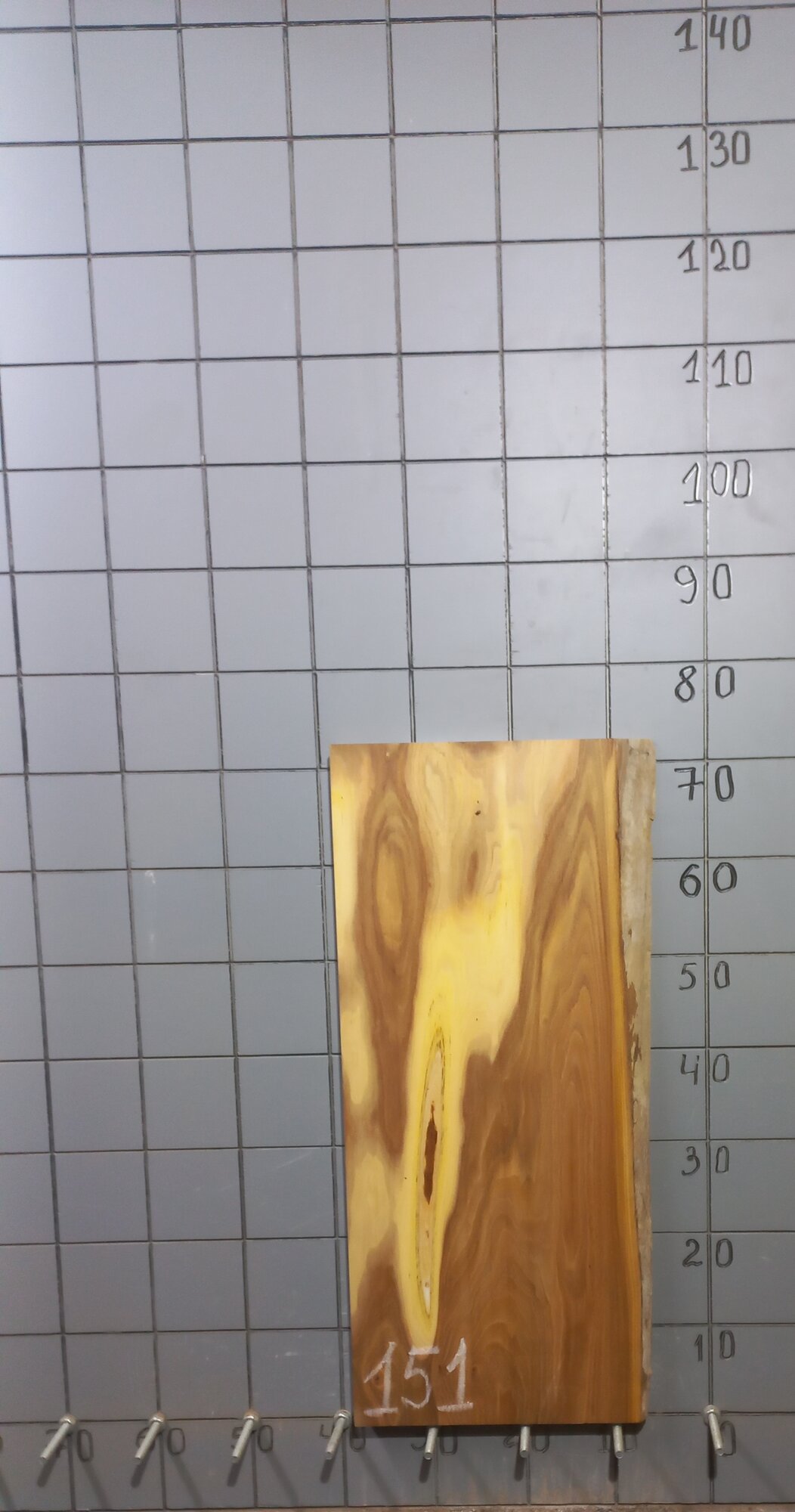 Заготовка для полки Доклес №151, карагач, цельные, сухие, 4х29х71 см