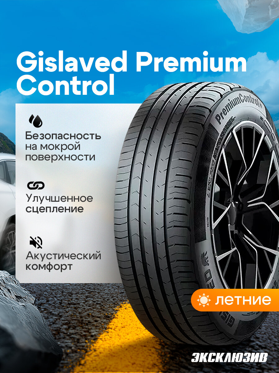 Летняя шина Gislaved PremiumControl 205/55 R16 91H