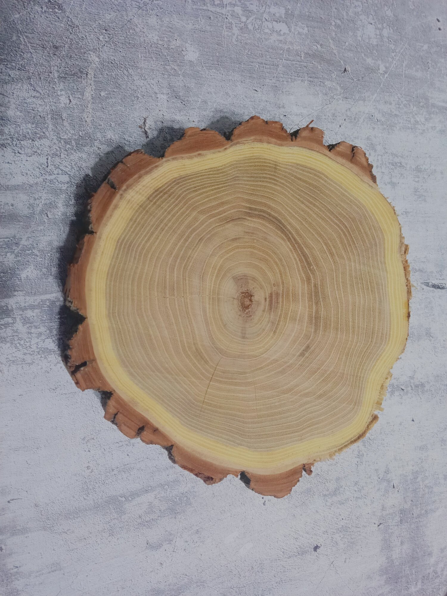 Спил акации