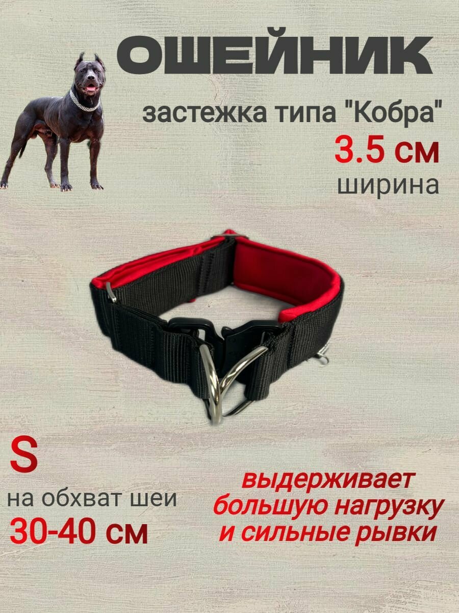 Ошейник для собак на застежке типа Кобра ширина 3.5 см, с мягким подкладом для средних и крупных пород, размер S