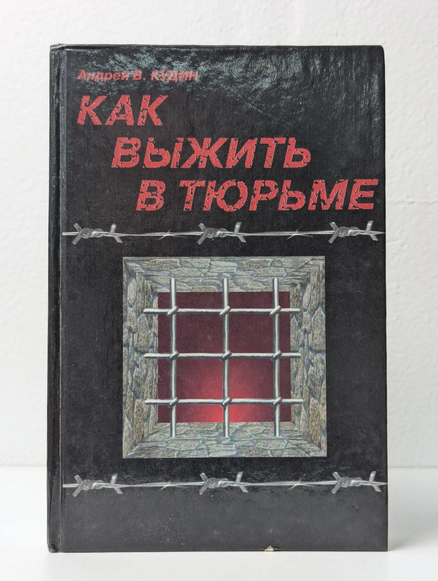 Как выжить в тюрьме Кудрин Андрей 2000