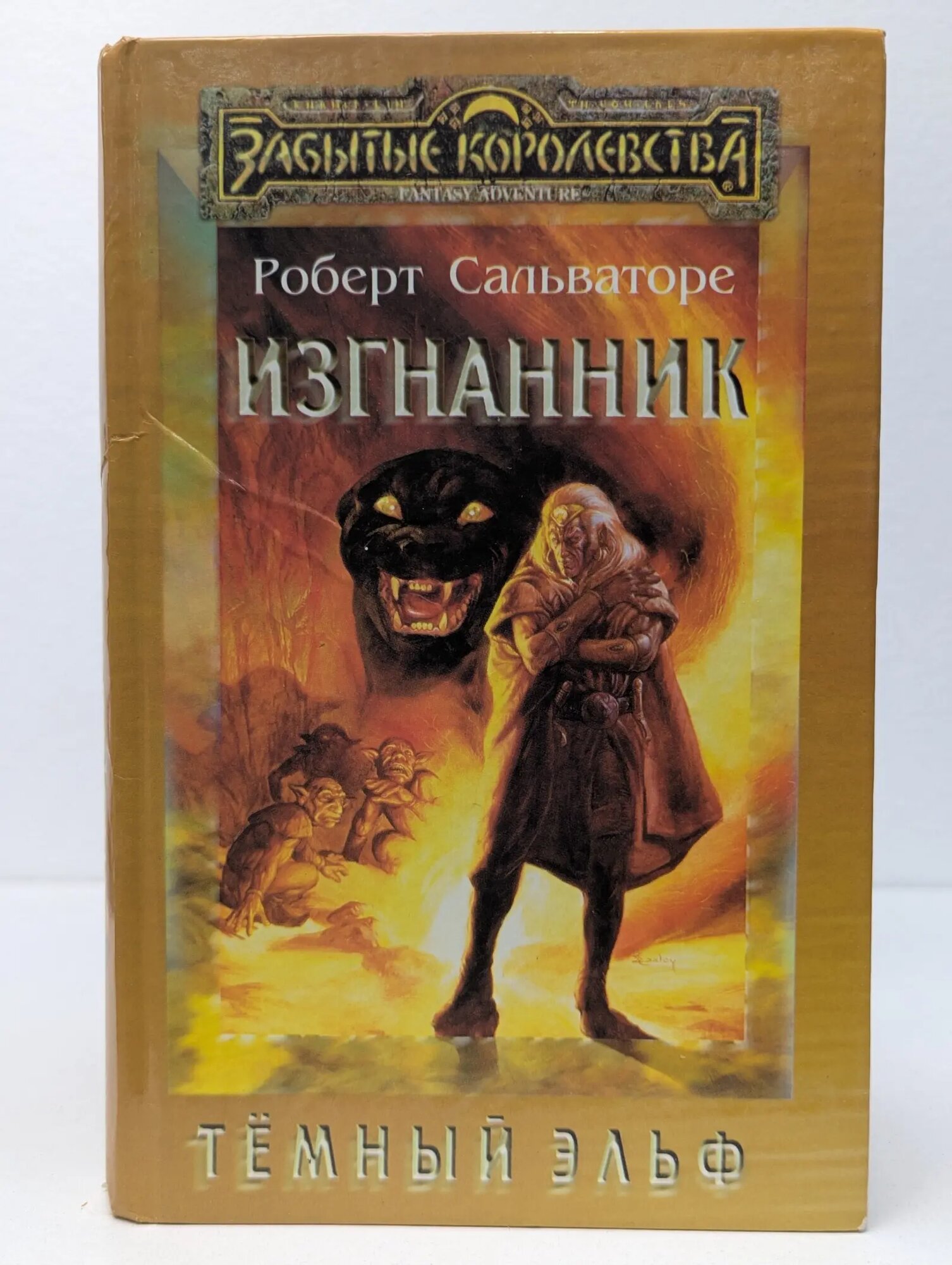 Forgotten Realms. Изгнанник Сальваторе Роберт Энтони 1997