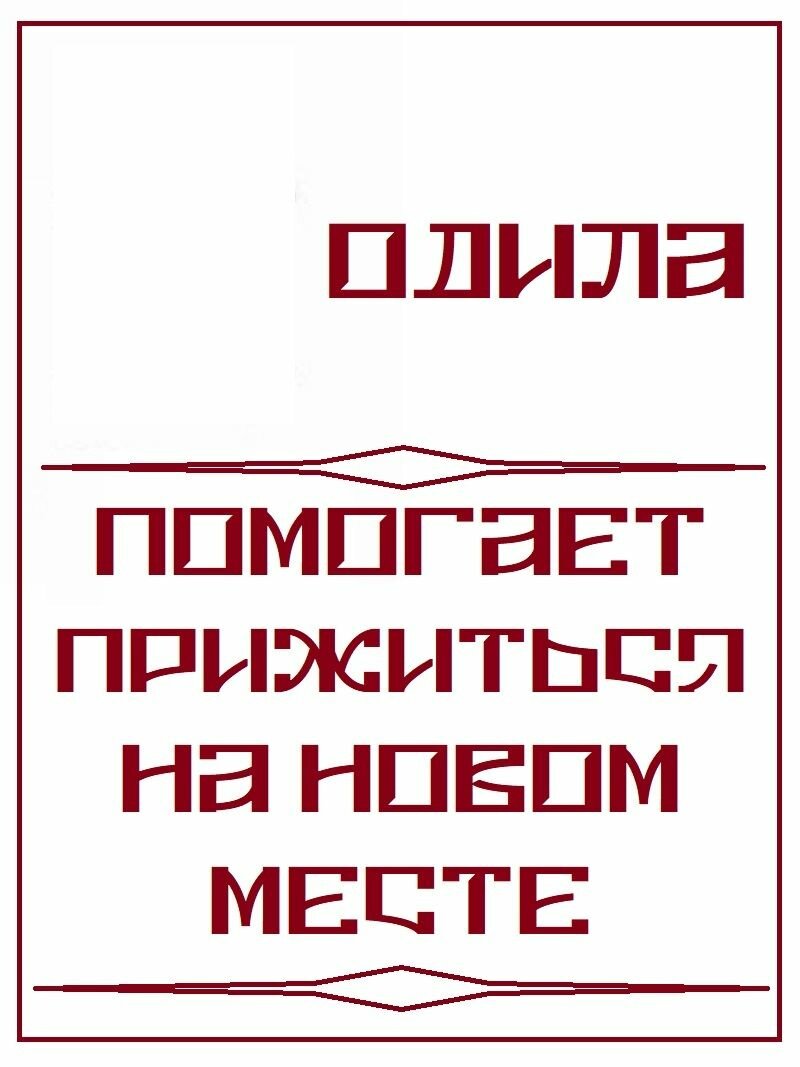 Шарм ROMONI, серебристый — фото 1