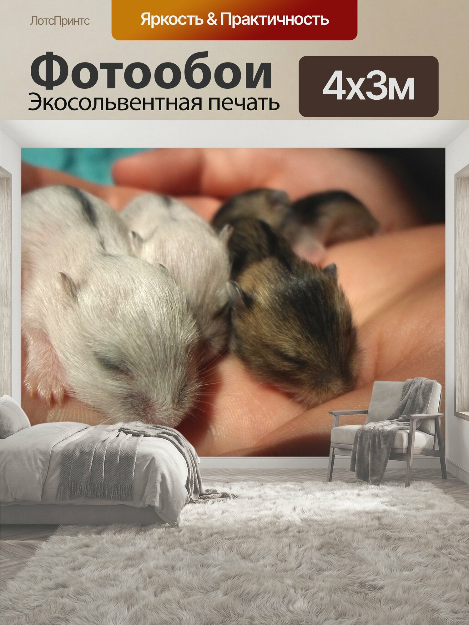 Фотообои "Хомяк пупс, хомячок, хомячок щенков" 400x300 см. экосольвентная печать