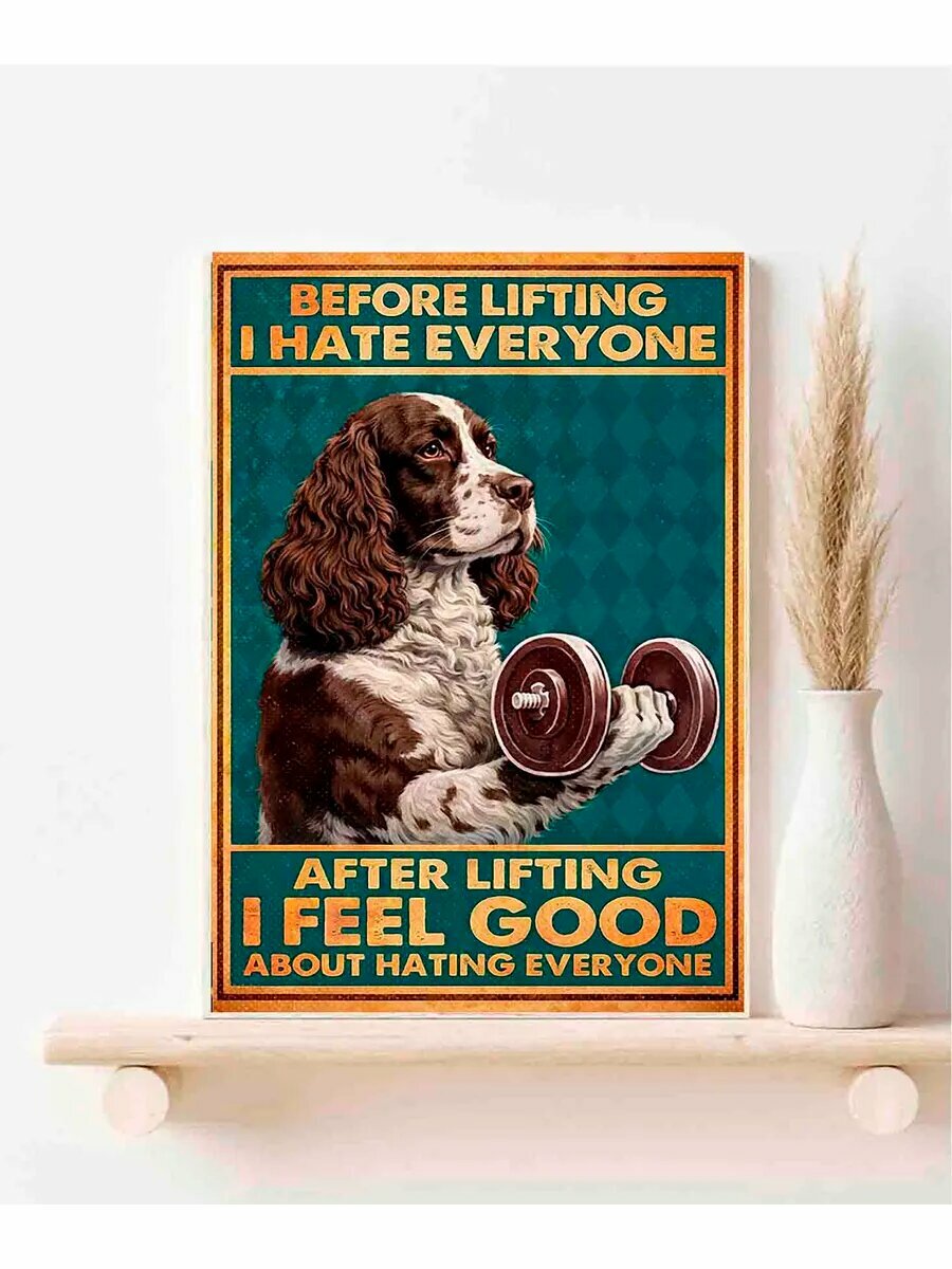 Английский спрингер-спаниель, Before After Lifting, Плакат