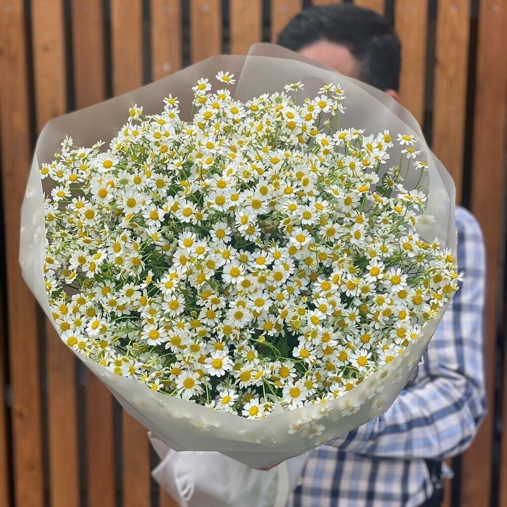 Букет из кустовых ромашек 25 шт красивый букет премиум цветы премиум букет