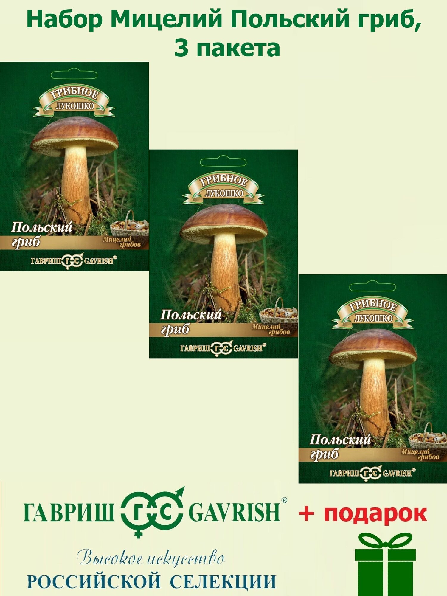 Набор Мицелий Польский гриб на зерновом субстрате, 3 пакета, Гавриш
