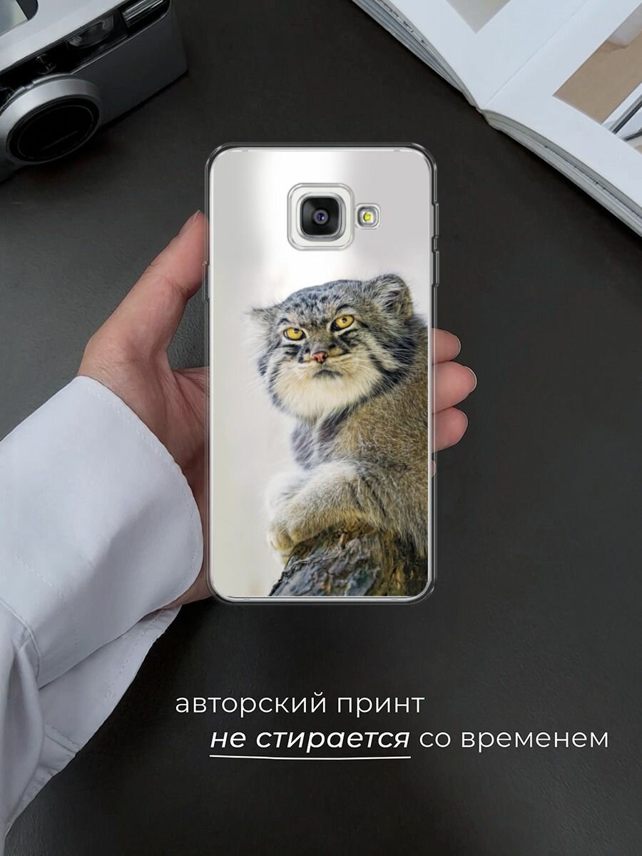 Чехол на Samsung Galaxy A3 2016 / Самсунг Галакси А3 2016 с принтом "Кот манул 1" — фото 1