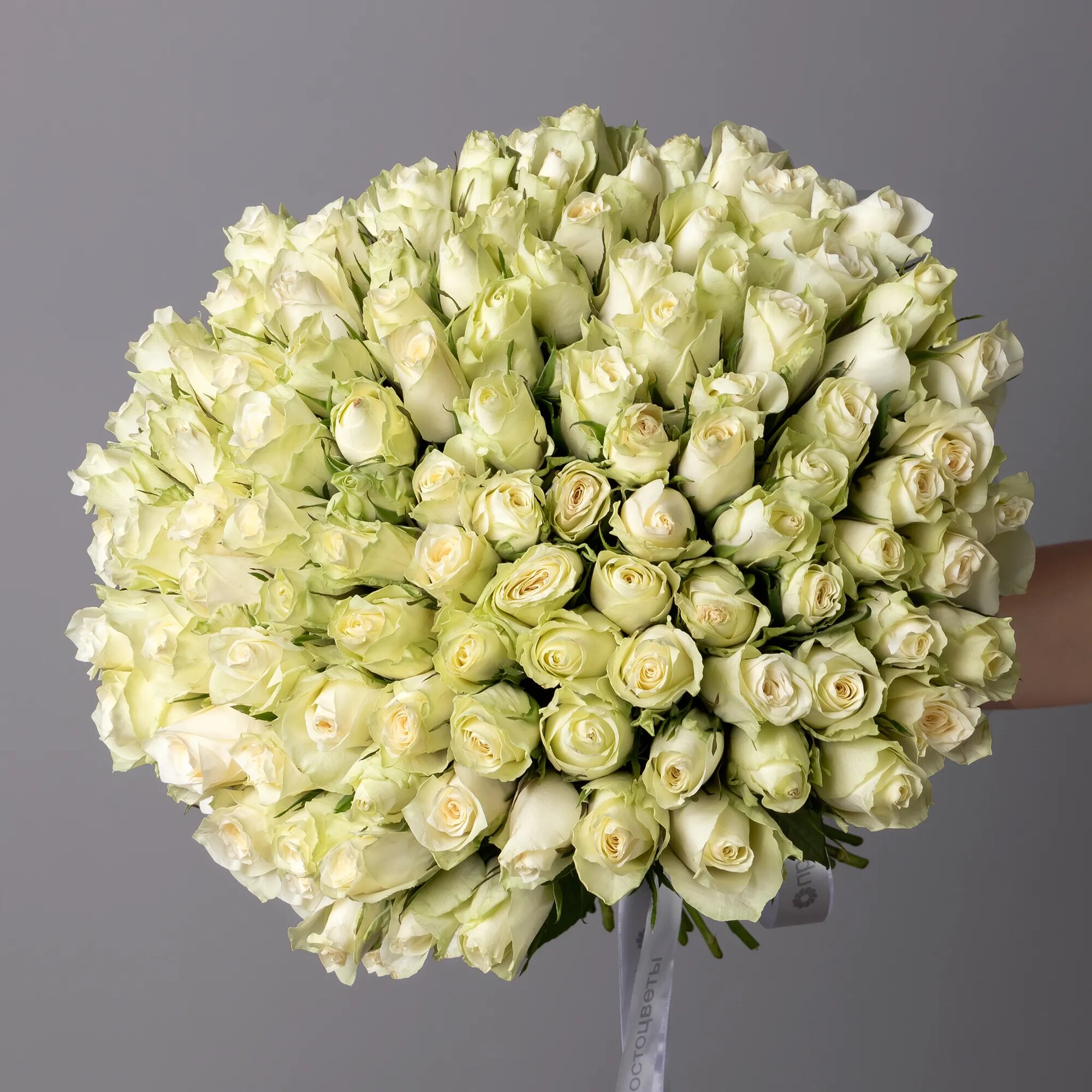 Букет Роза "Белая" 101 шт Высота 40 см Премиум от "Простоцветы"