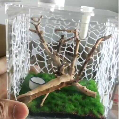 Террариум для пауков с щипцами-капельницами, клетка для улиток, вольер для сверчков, среда обитания древесных тарантулов